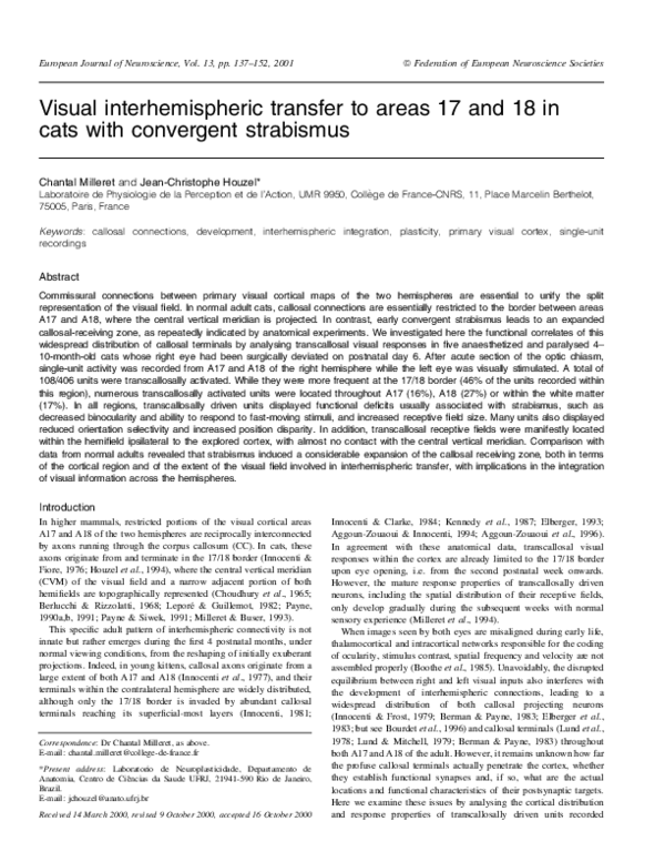 (PDF) Visual interhemispheric transfer to areas 17 and 18 in cats with ...