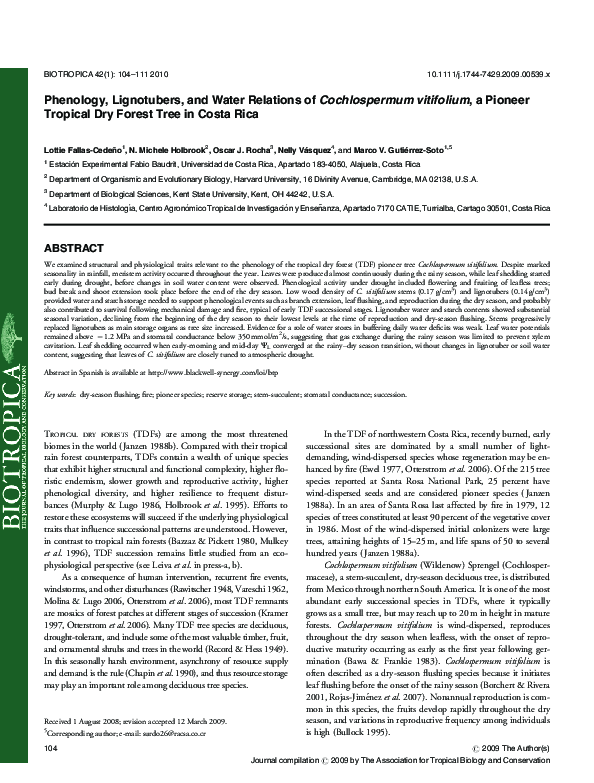 (PDF) Phenology, Lignotubers, and Water Relations of Cochlospermum ...