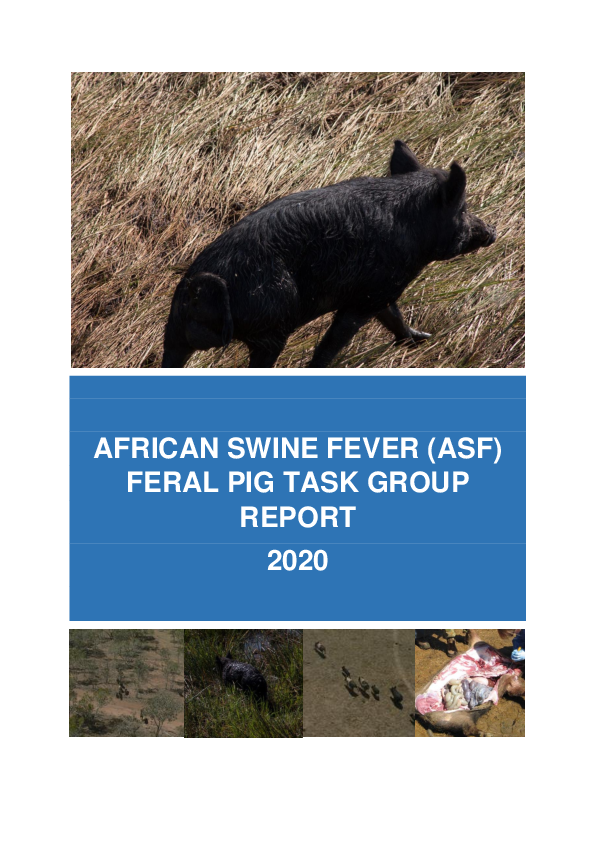 (PDF) AFRICAN SWINE FEVER (ASF) FERAL PIG TASK GROUP REPORT 2020