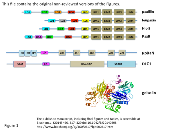 (PDF) Original pre-review figures
