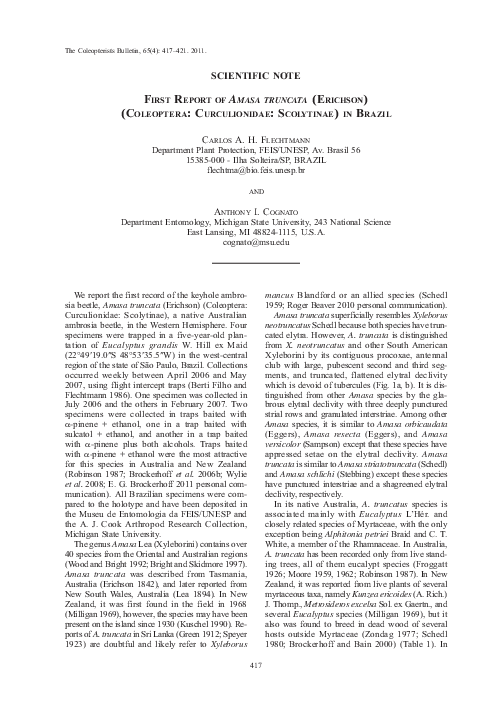 (PDF) First Report of Amasa truncata (Erichson) (Coleoptera ...