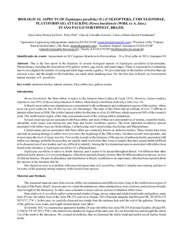 (PDF) Biological aspects of Euplatypus parallelus (F.) (Coleoptera ...