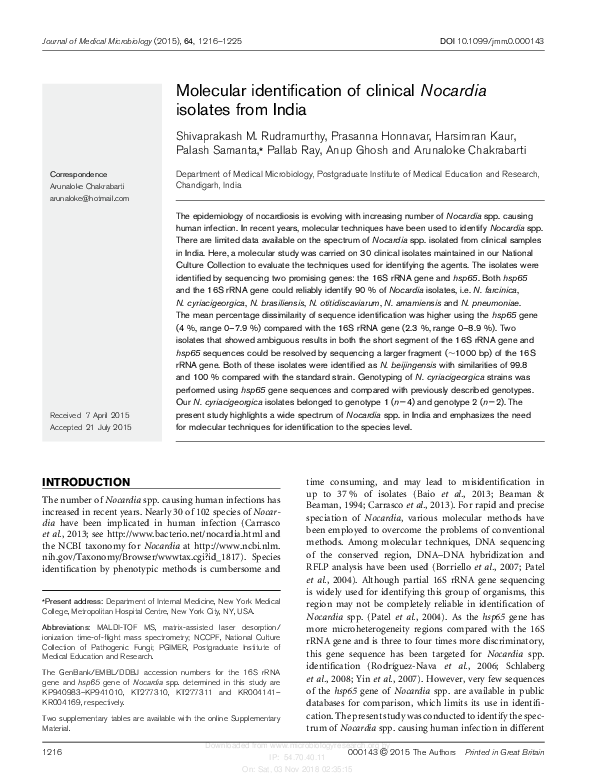 (PDF) Molecular identification of clinical Nocardia isolates from India