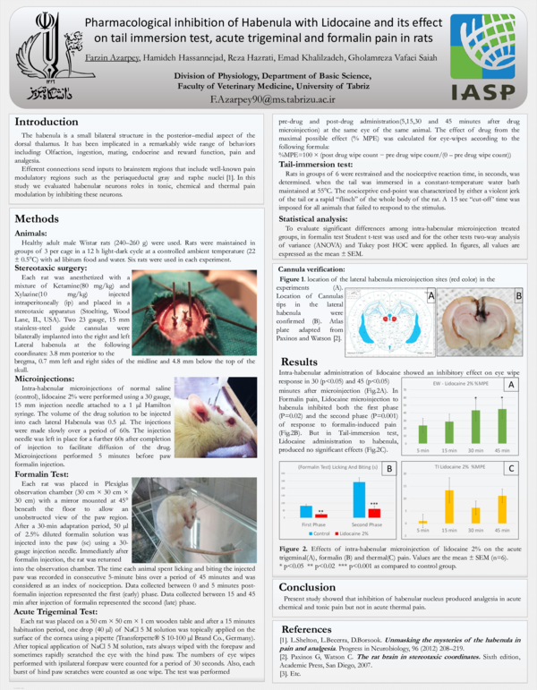 (PDF) Pharmacological inhibition of Habenula with Lidocaine and its ...