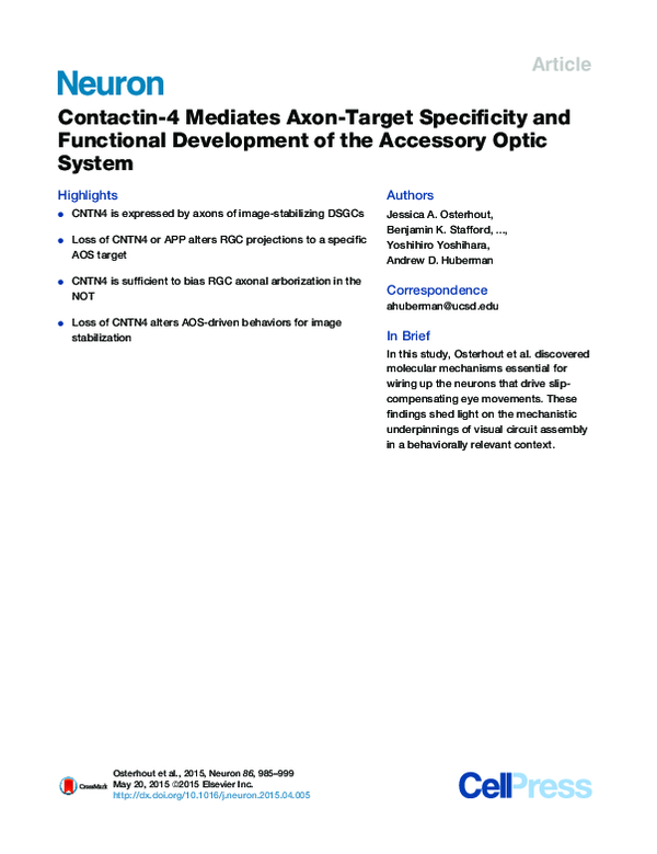 (PDF) Contactin-4 Mediates Axon-Target Specificity and Functional ...