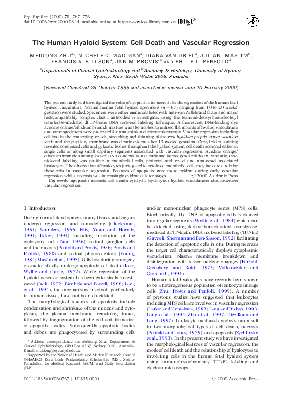 (PDF) The Human Hyaloid System: Cell Death and Vascular Regression