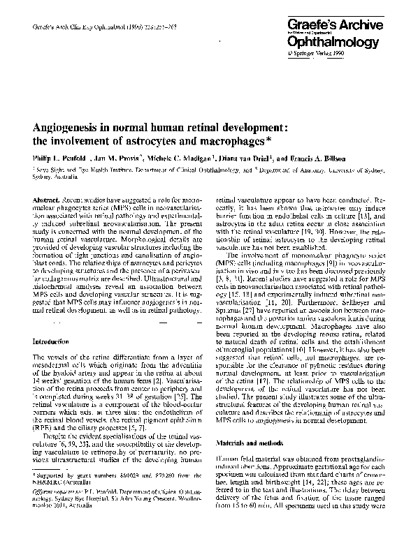(PDF) Angiogenesis in normal human retinal development the involvement ...