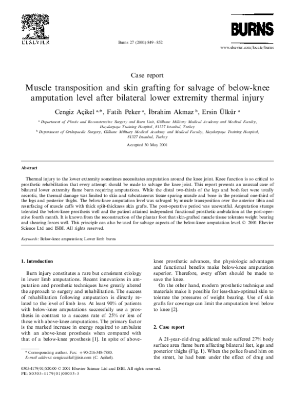 (PDF) Skin grafts for the salvage of degloved below-knee amputation ...