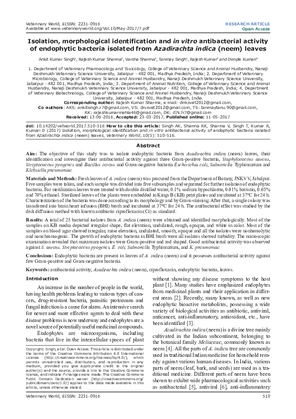 (PDF) Isolation, morphological identification and in vitro antibacterial activity of endophytic ...