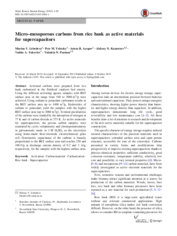 (PDF) Micro–mesoporous carbons from rice husk as active materials for ...