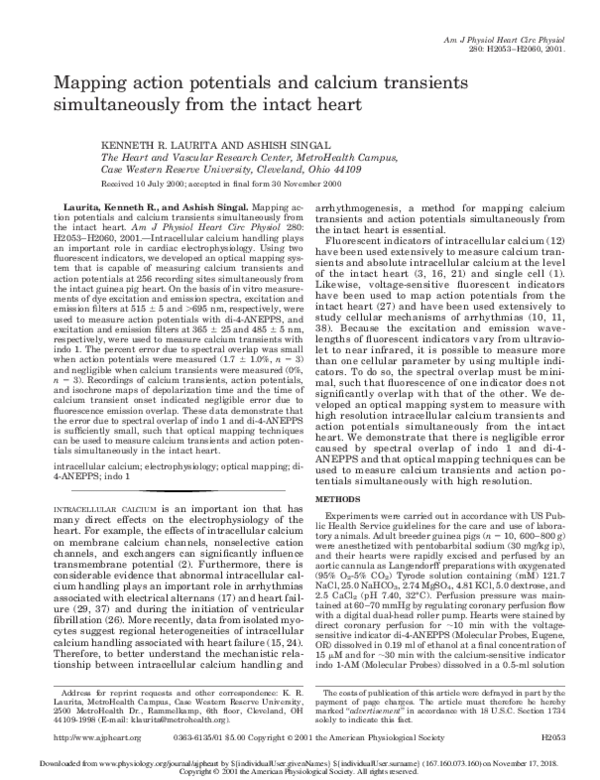 (PDF) Mapping action potentials and calcium transients simultaneously from the intact heart