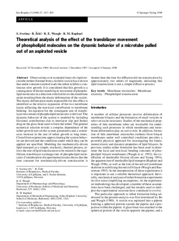 (PDF) Theoretical analysis of the effect of the transbilayer movement ...