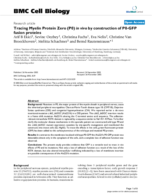 (PDF) Tracing myelin protein zero (P0) in vivo by construction of P0 ...
