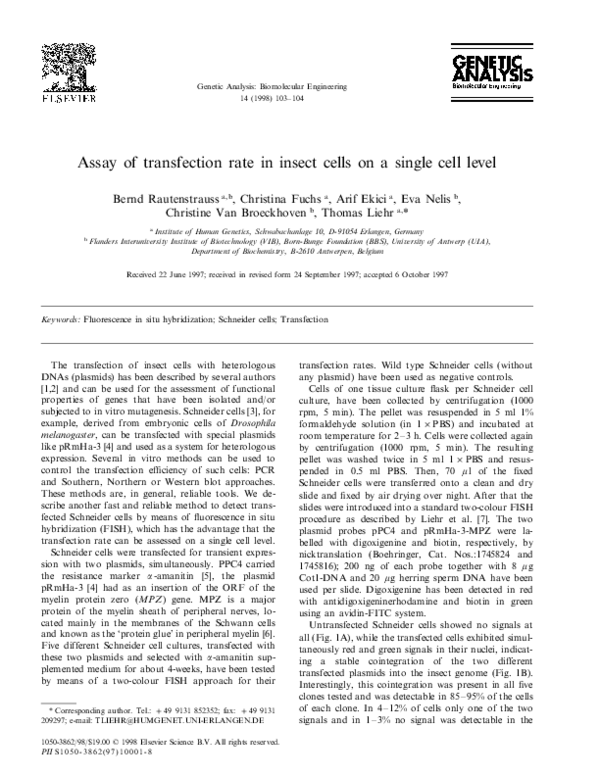 (PDF) Assay of transfection rate in insect cells on a single cell level