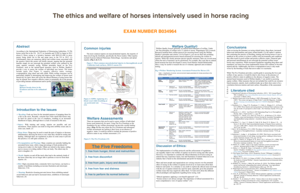 (PDF) Ethics and welfare horse racing poster