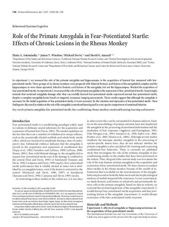 (PDF) Role of the Primate Amygdala in Fear-Potentiated Startle: Effects ...