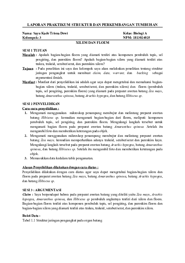 (DOC) LAPORAN PRAKTIKUM STRUKTUR DAN PERKEMBANGAN TUMBUHAN-XILEM DAN ...