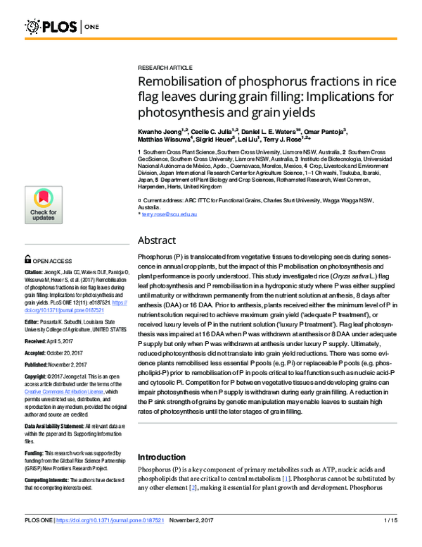 (PDF) Remobilisation of phosphorus fractions in rice flag leaves during ...