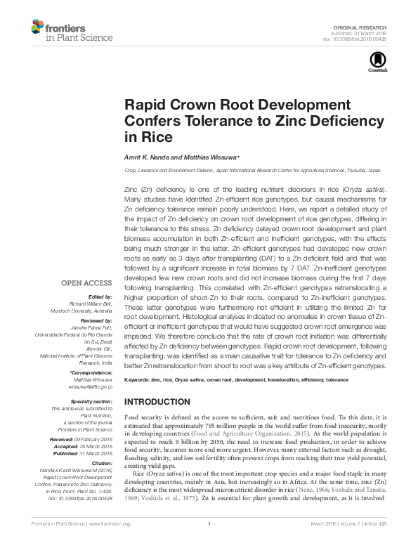 (PDF) Rapid Crown Root Development Confers Tolerance to Zinc Deficiency ...