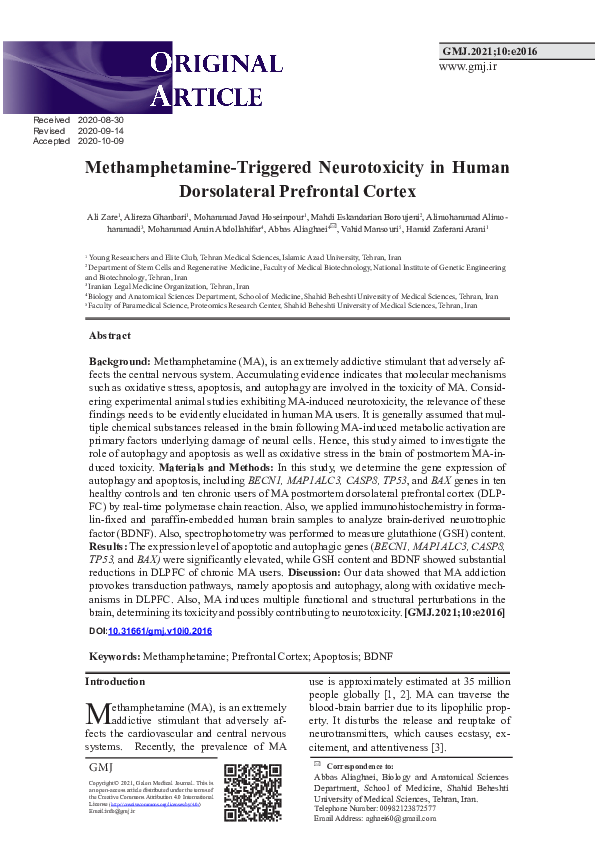 (PDF) Methamphetamine-Triggered Neurotoxicity in Human Dorsolateral ...