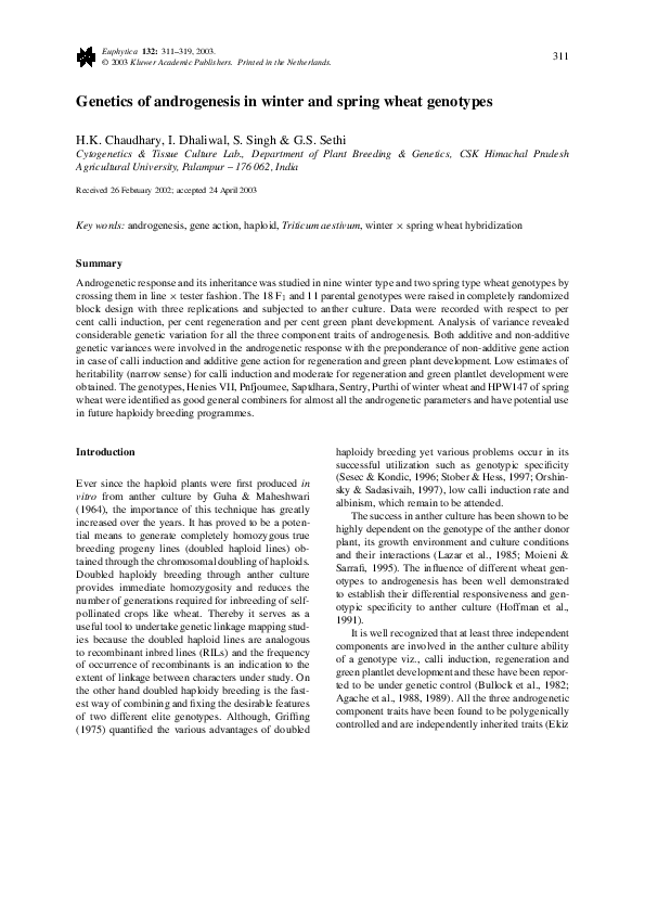 (PDF) Genetics of androgenesis in winter and spring wheat genotypes