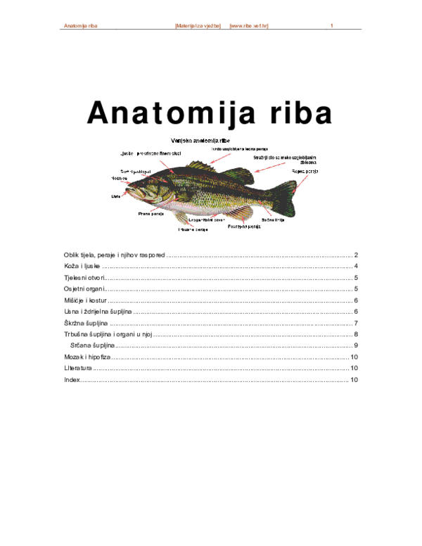 (PDF) Anatomija riba