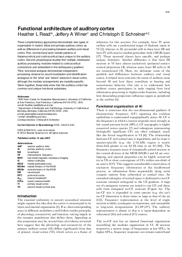 (PDF) Functional architecture of auditory cortex