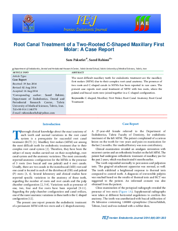 Pdf Root Canal Treatment Of A Two Rooted C Shaped Maxillary First