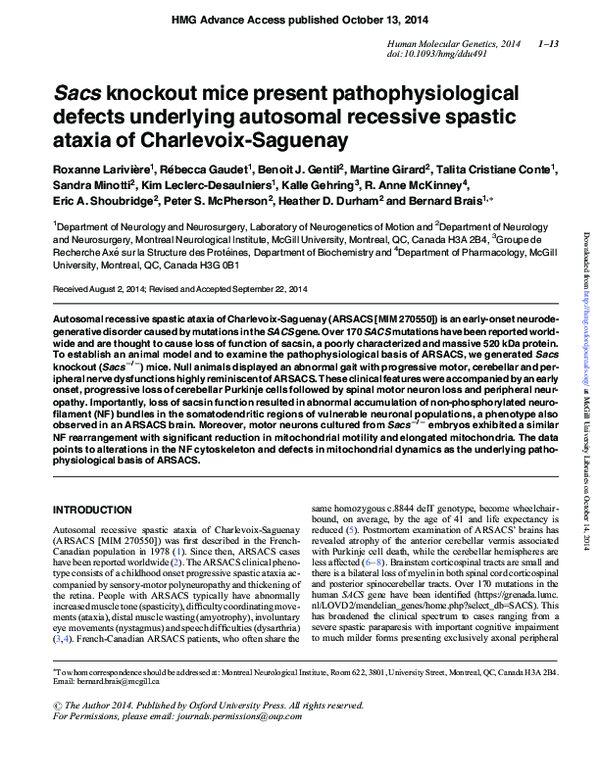 (PDF) Sacs knockout mice present pathophysiological defects underlying autosomal recessive ...
