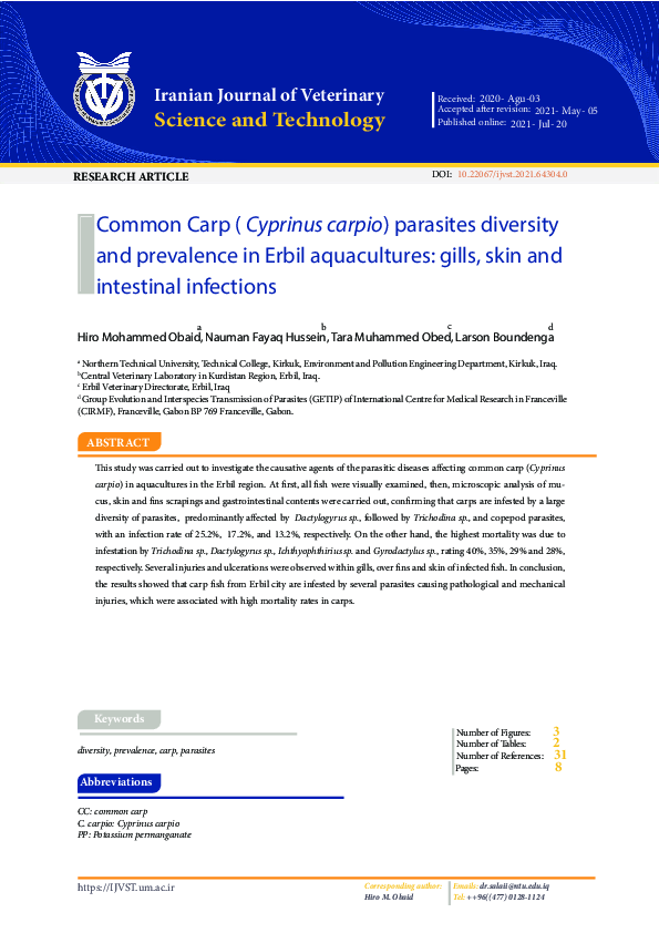 (PDF) Common Carp ( Cyprinus carpio) parasites diversity and prevalence ...