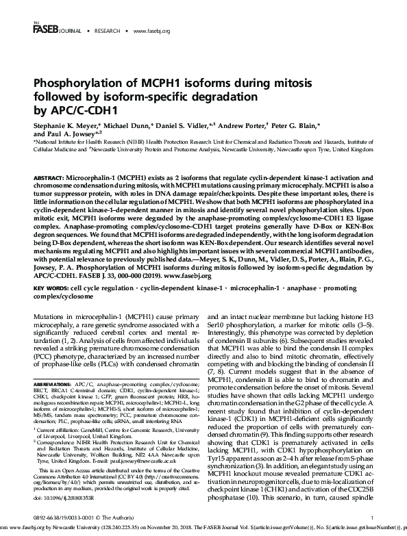 (PDF) Phosphorylation of MCPH1 isoforms during mitosis followed by ...