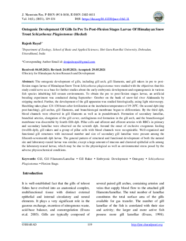(PDF) Ontogenic Development Of Gills In Pre To Post-Flexion Stages ...