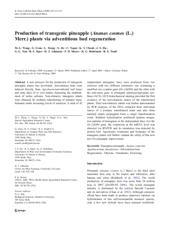 (PDF) Production of transgenic pineapple (Ananas cosmos (L.) Merr ...