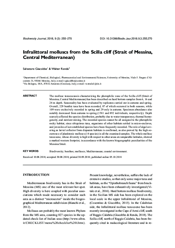 (PDF) Infralittoral molluscs from the Scilla cliff (Strait of Messina ...