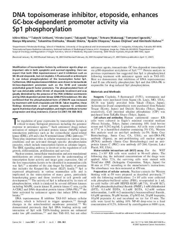 (PDF) Etoposide Enhances Sp1 Phosphorylation and Activity