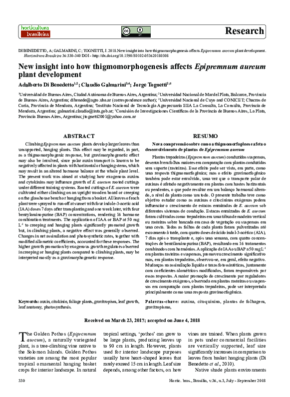 (PDF) New insight into how thigmomorphogenesis affects Epipremnum ...
