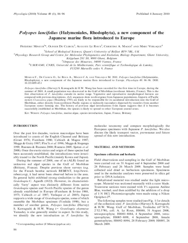 (PDF) Polyopes lancifolius (Halymeniales, Rhodophyta), a new component ...