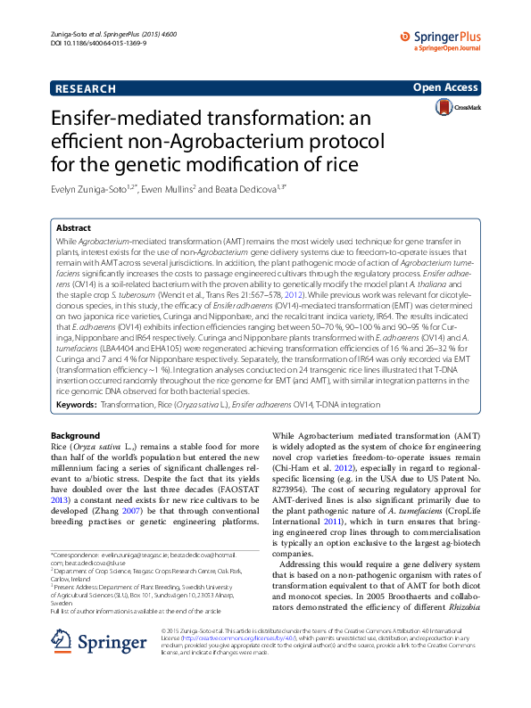 (PDF) Ensifer-mediated transformation: an efficient non-Agrobacterium ...