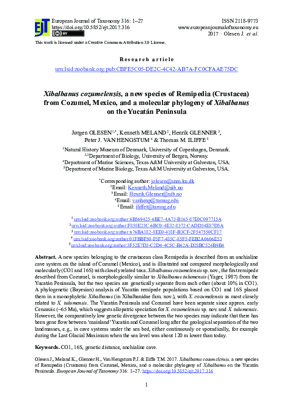 (PDF) Xibalbanus cozumelensis, a new species of Remipedia (Crustacea ...
