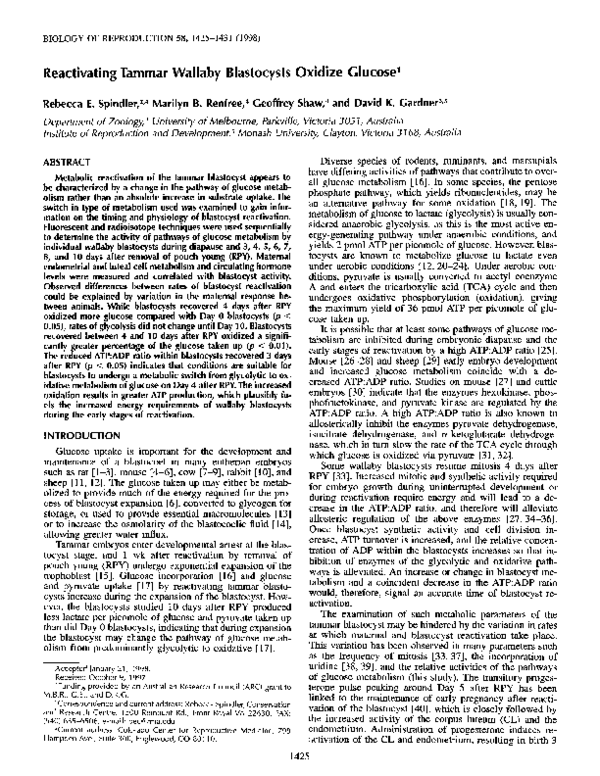 (PDF) Reactivating tammar wallaby blastocysts oxidize glucose [In ...