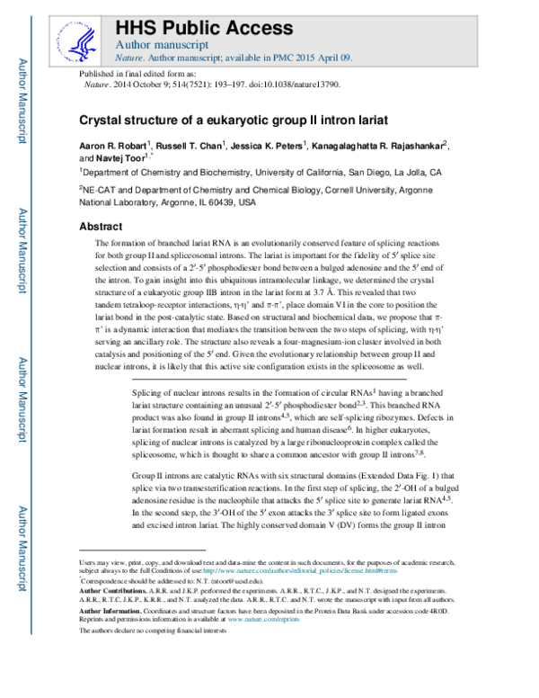 (PDF) Crystal structure of a eukaryotic group II intron lariat