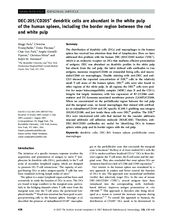 (PDF) DEC-205/CD205 + dendritic cells are abundant in the white pulp of ...