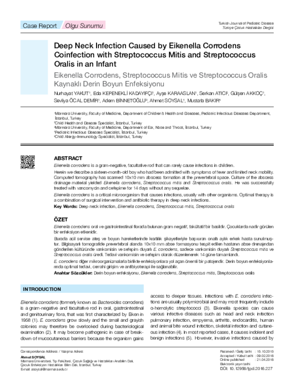 (PDF) Eikenella Corrodens, Streptococcus Mitis ve Streptococcus Oralis ...