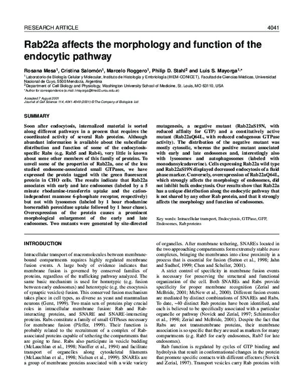 (PDF) Rab22a affects the morphology and function of the endocytic pathway