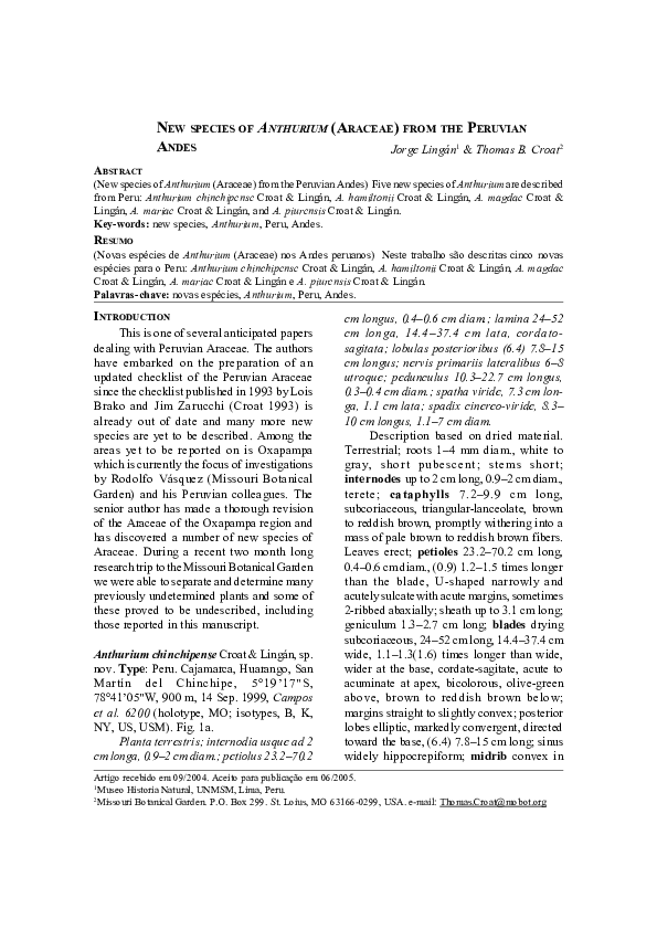 (PDF) New species of Anthurium (Araceae) from the Peruvian Andes | Tom ...