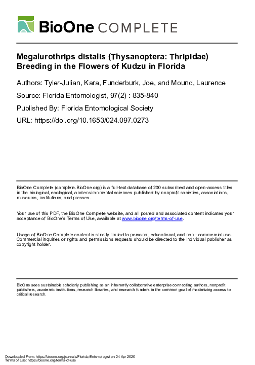 (PDF) Megalurothrips distalis (Thysanoptera: Thripidae) Breeding in the ...