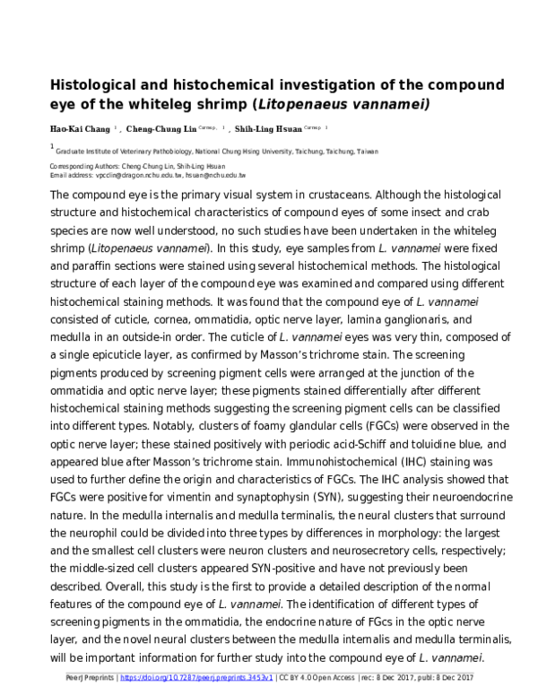 (PDF) Histological and Histochemical Investigation of Saccus Vasculosus ...