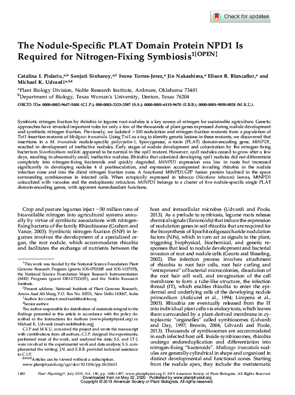 (PDF) The Nodule-Specific PLAT Domain Protein NPD1 Is Required for ...