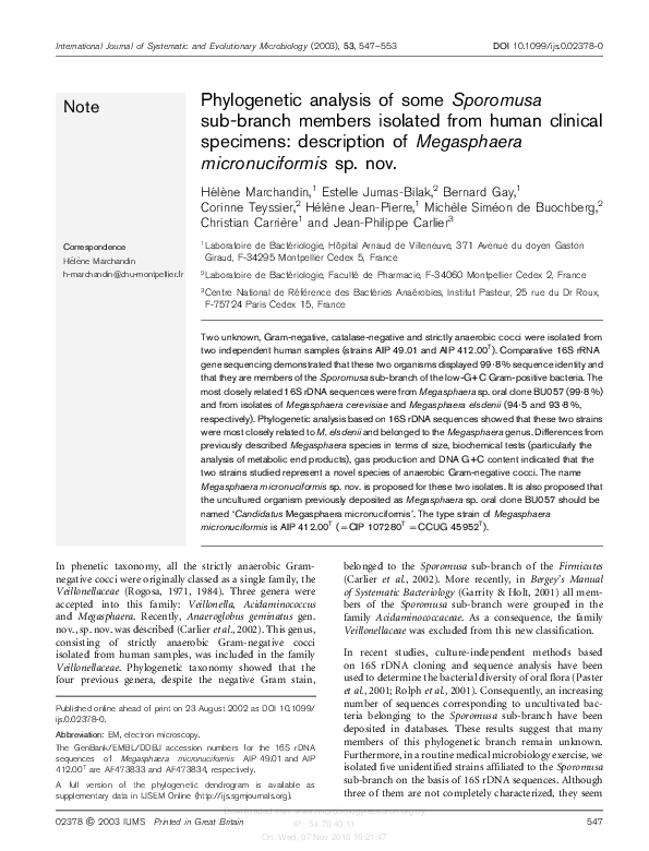 (PDF) Phylogenetic analysis of some Sporomusa sub-branch members ...