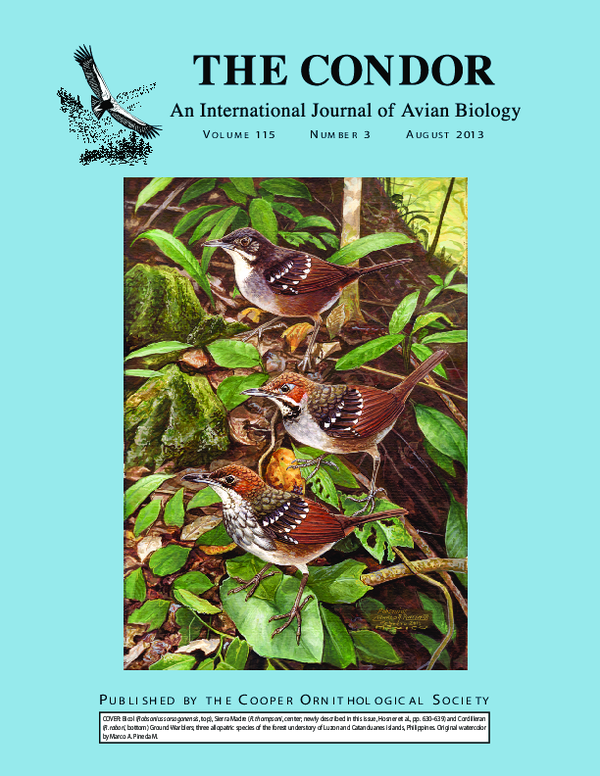 (PDF) Phylogeography of the Robsonius Ground-Warblers (Passeriformes ...